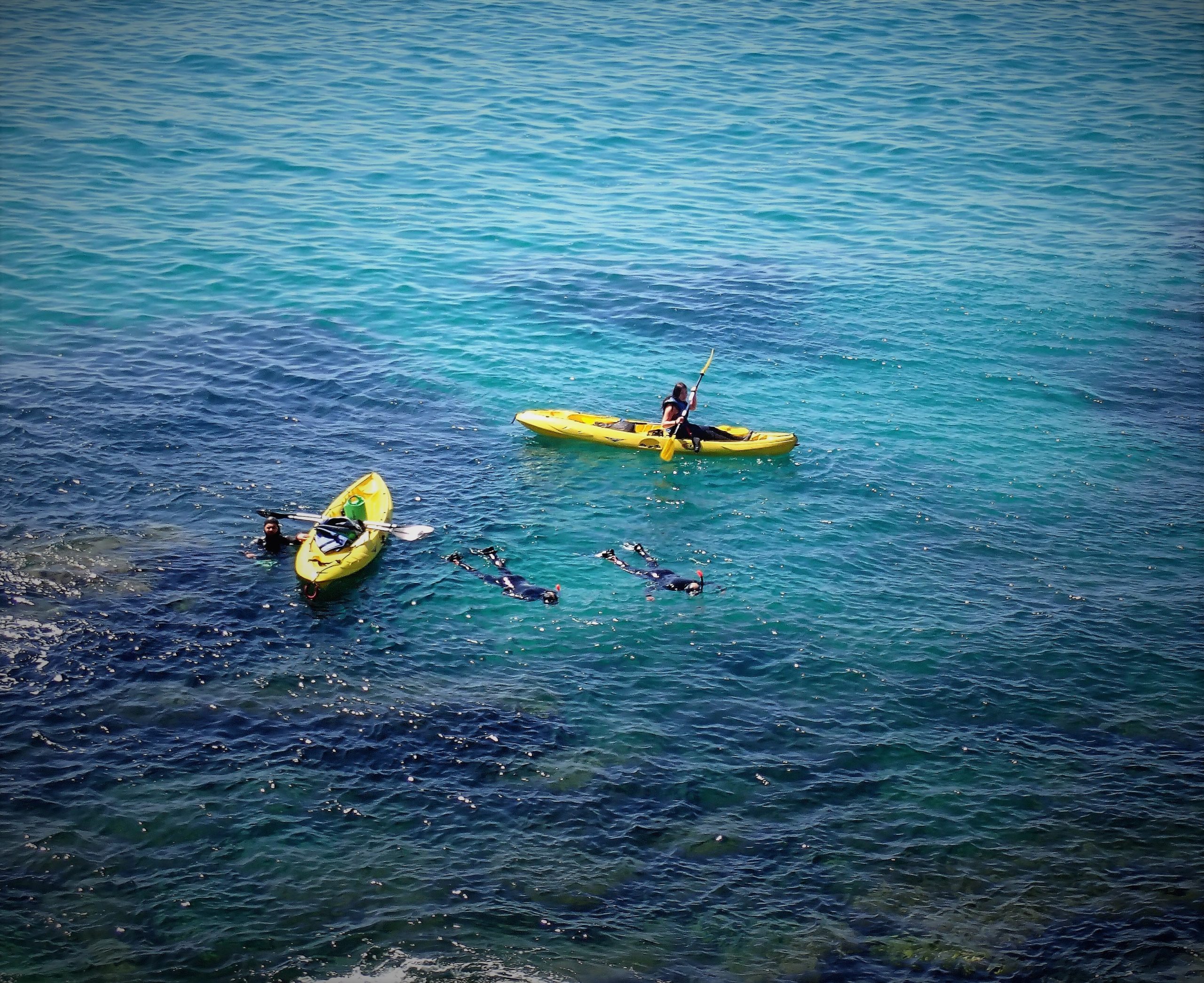 Kayak and snorkelling - Blue Ocean Divers